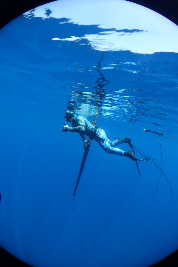 Blue Water | Daryl Wong Spearguns