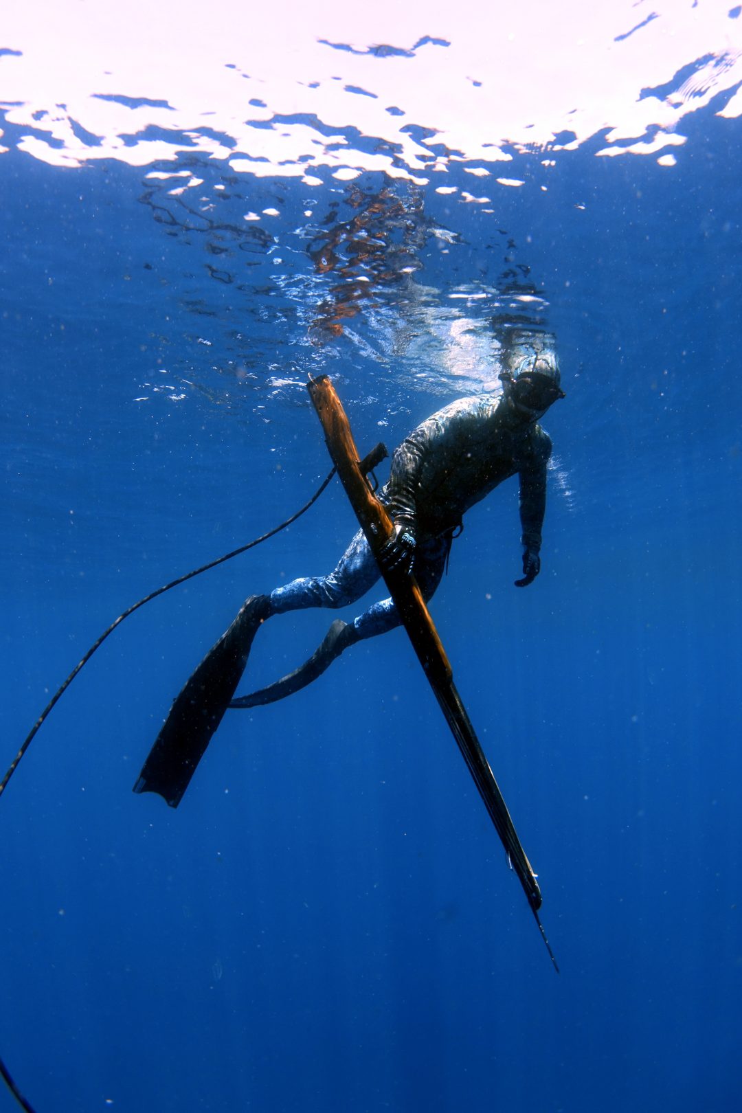 Blue Water | Daryl Wong Spearguns
