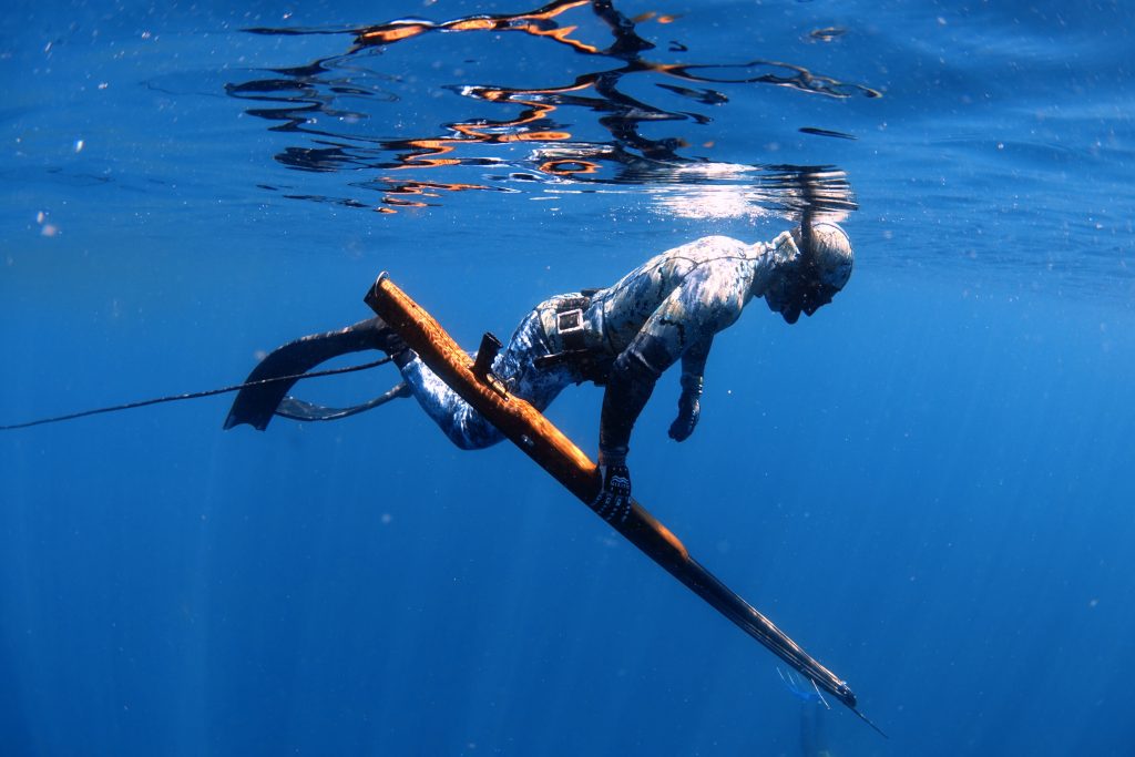 Blue Water | Daryl Wong Spearguns